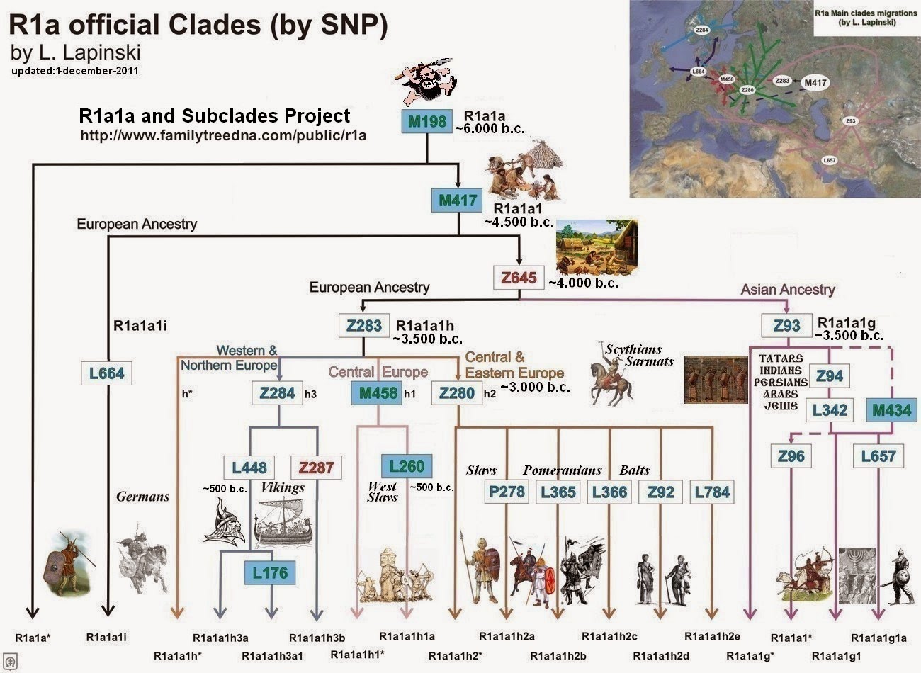 Расология, Антропология, Генетика : R1a1a and Subclades Y-DNA